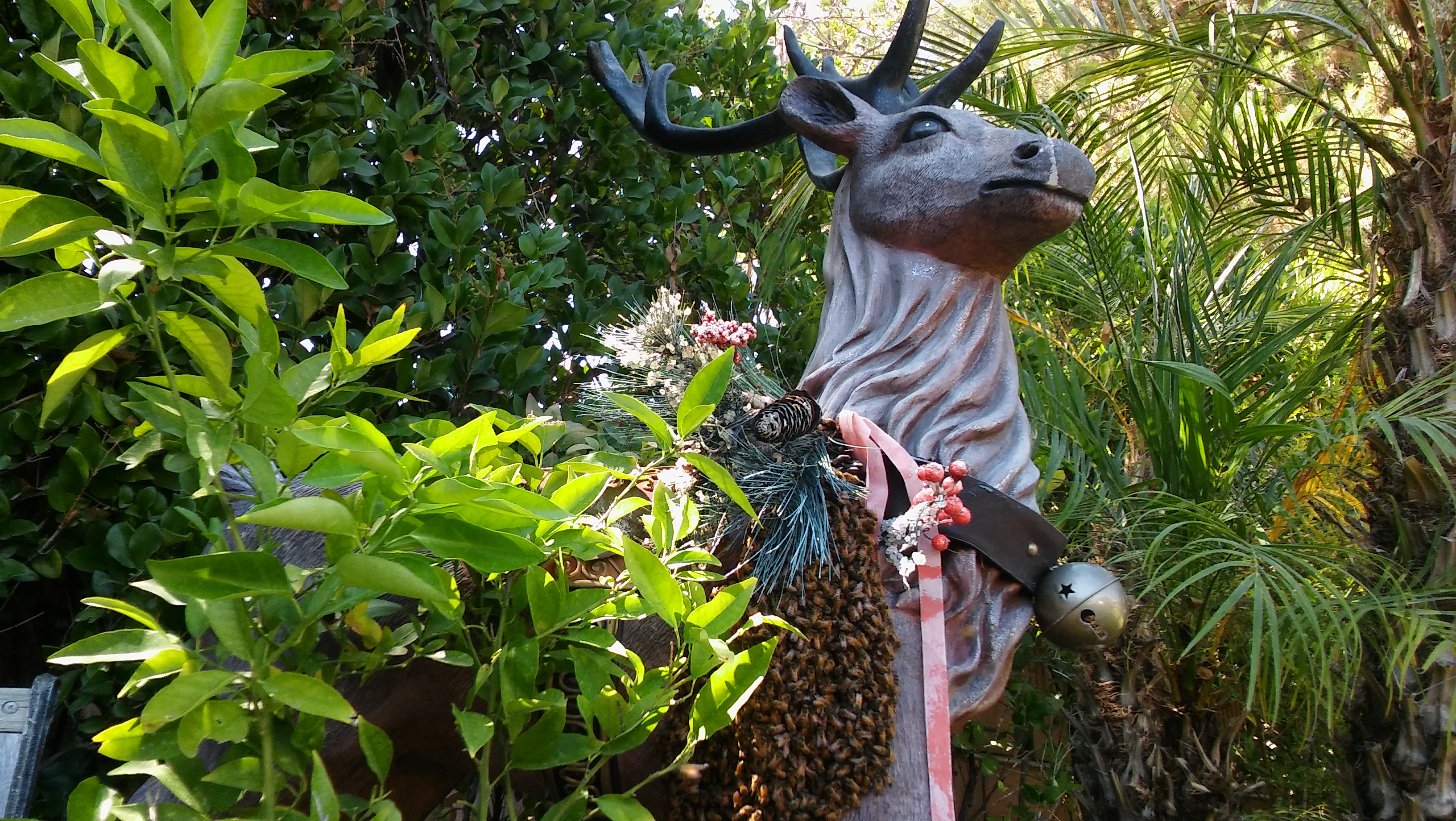 Swarm of bees on a fake rain deer in Claremont CA. | Hive Pro Bee Removal