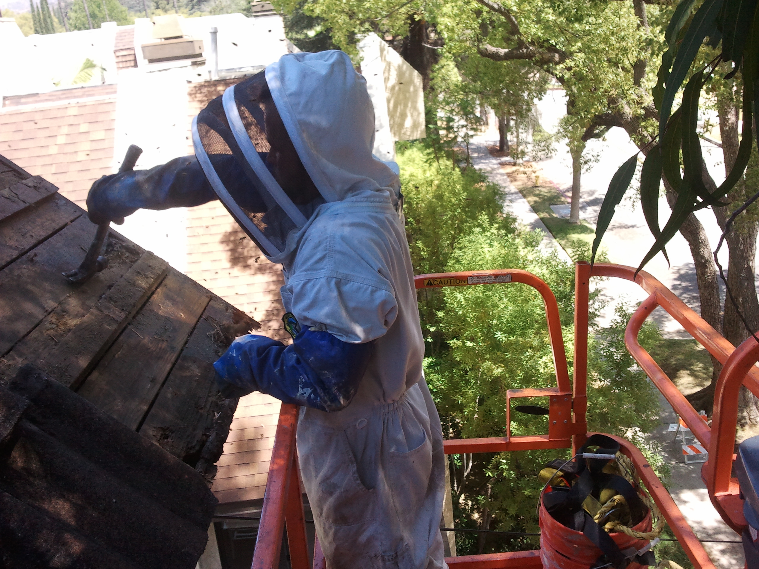 Up high in a hydraulic lift opening up a roof full of bees. | Hive Pro ...